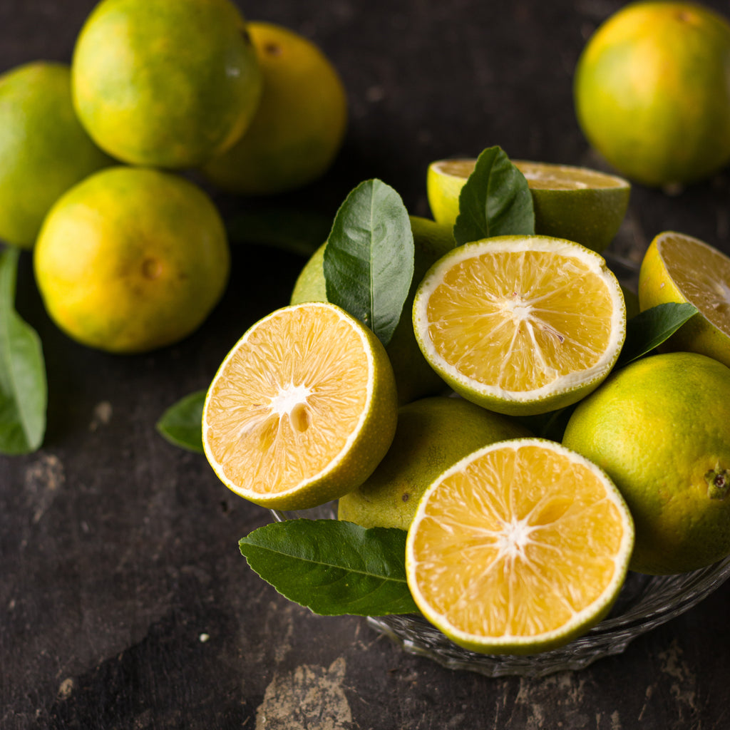 Florida Lime & Lemon Trees For Sale | Backyard Citrus Trees
